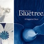 بلو ترى القاهرة الجديدة Blue tree new cairo - كمبوندات مصر